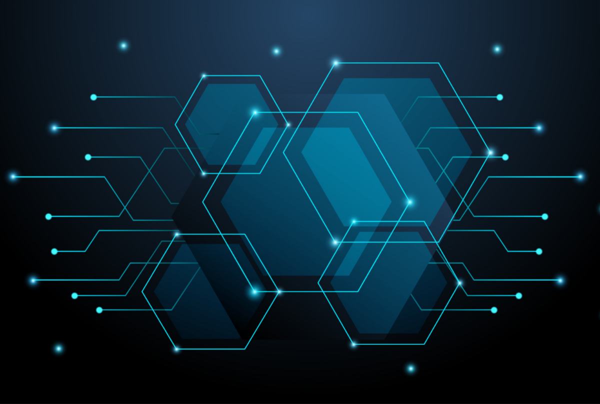 An Insider's Guide: Going Digital with Government Software - Esper