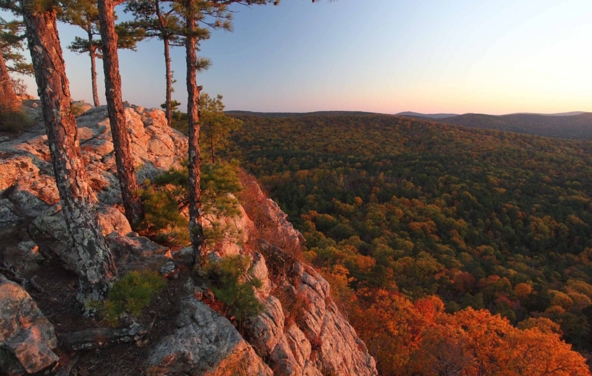 Arkansas Game and Fish Commission Partners with Esper to Modernize Regulation Management - Esper